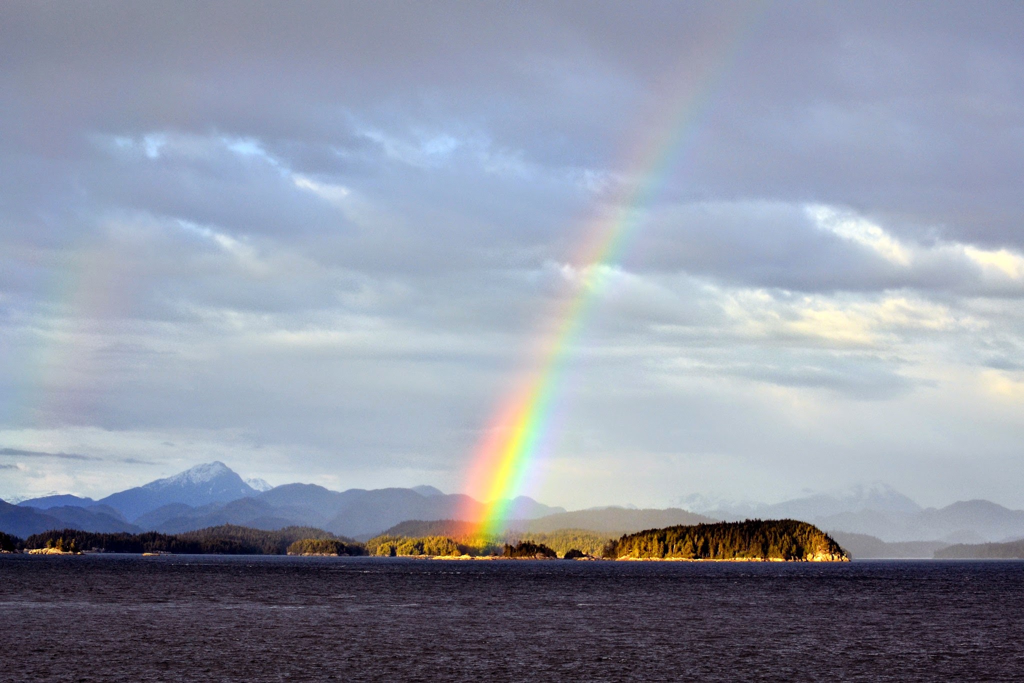 Kellyn Haley - Index